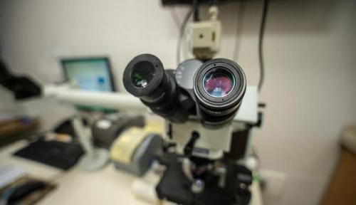 X-Ray Vision-Like Camera to Rapidly Retrieve 3D Images
