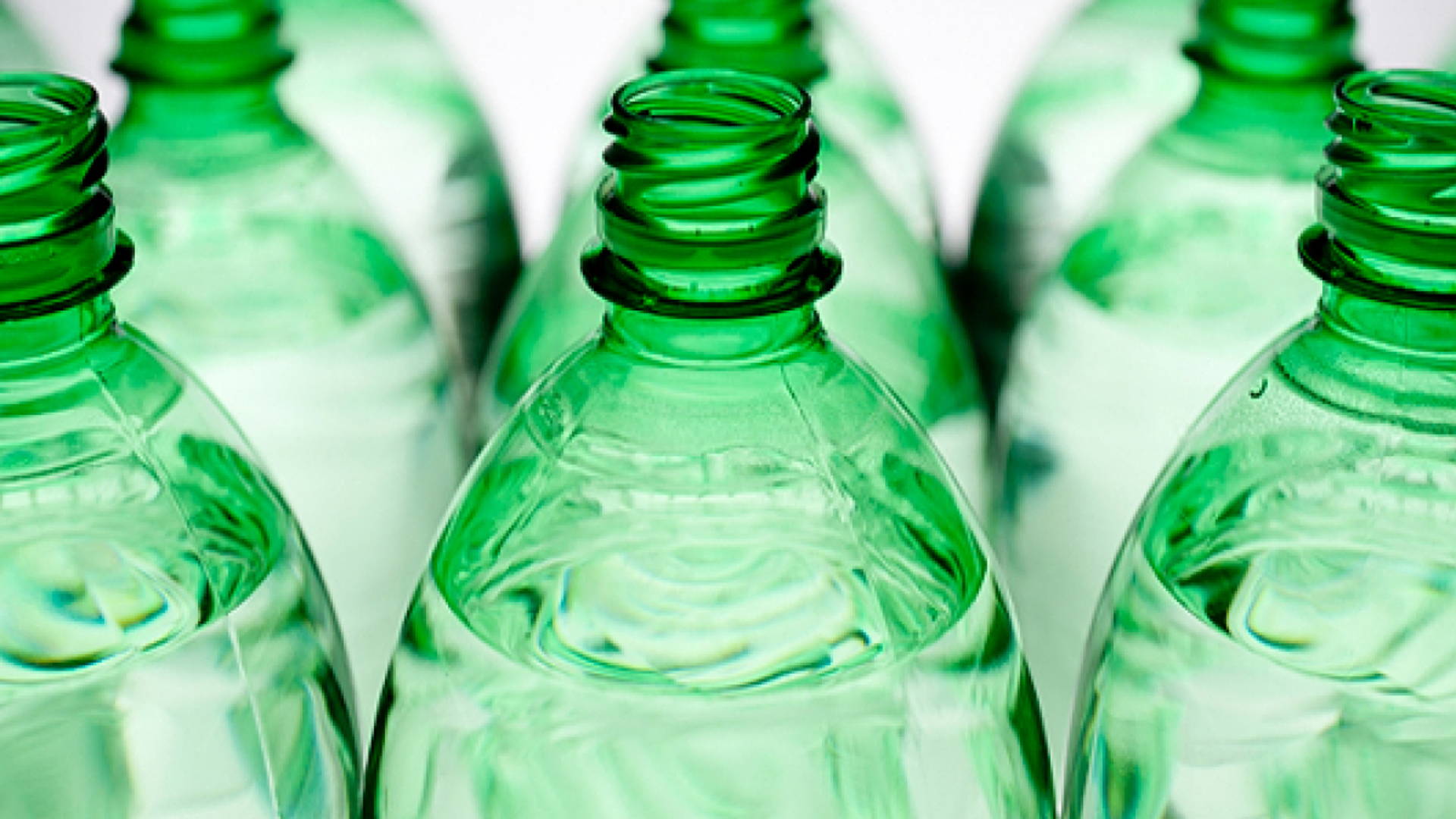 Protein-Based Bioplastics